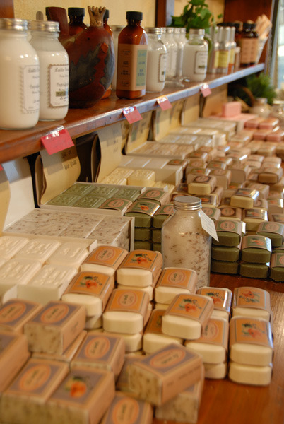 Collection [Le Sorelle]